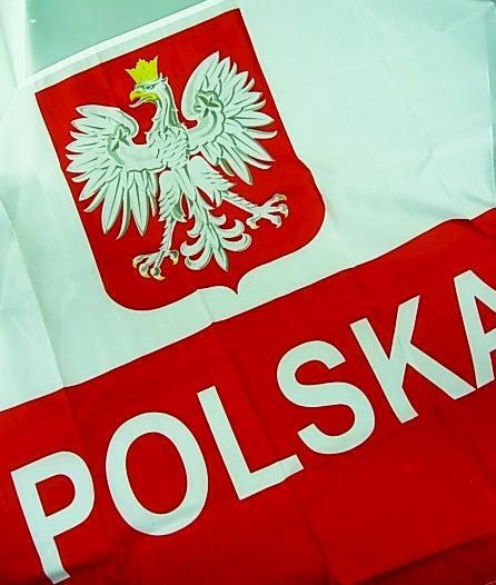 Flaga polska srednia 120 cm x 80 cm z orlem / Poolse vlag met de Eagle ...